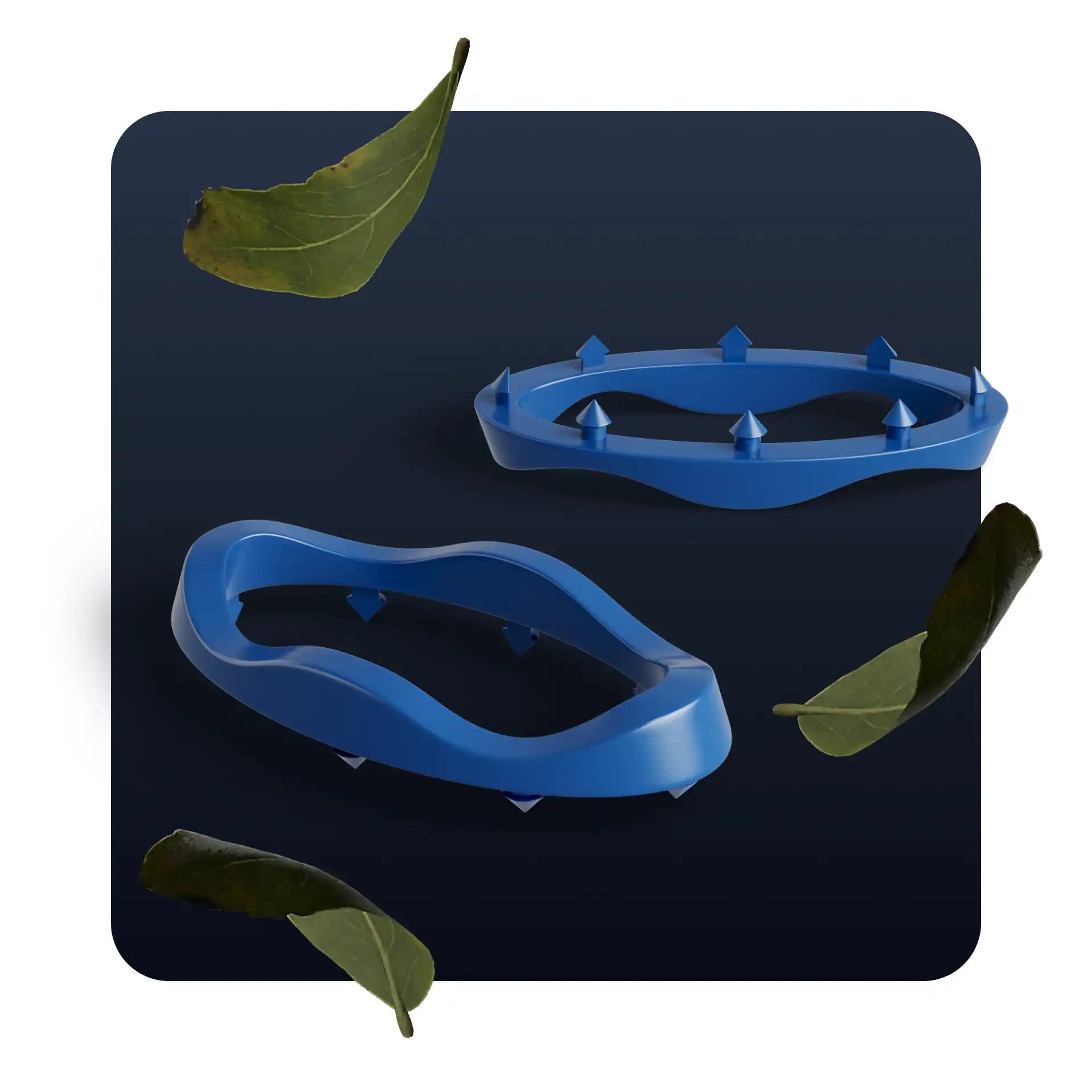 Lumbazzi Soap Anchor | Best Soap Gripper